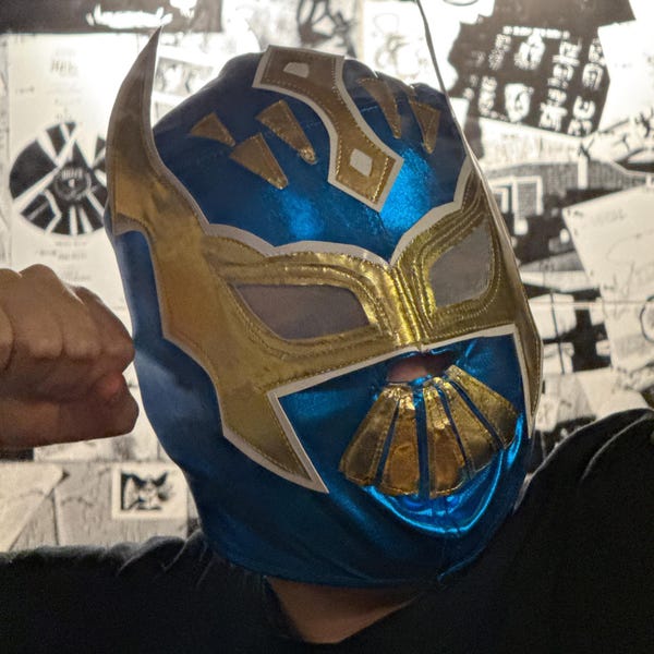 Hand Made DRAGON Wrestling Mask Luchador Costume Wrestler Lucha Libre ...