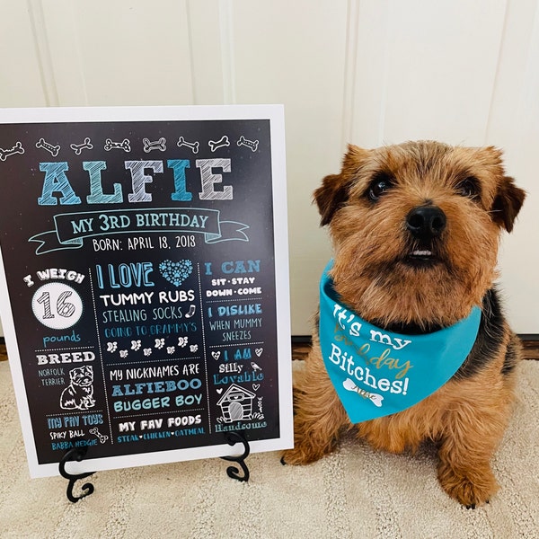 Dog Birthday Chalkboard Sign, First Puppy Birthday Banner, 1st Dog ...
