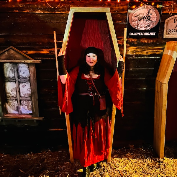 Ragged Net Over Skirt - Etsy