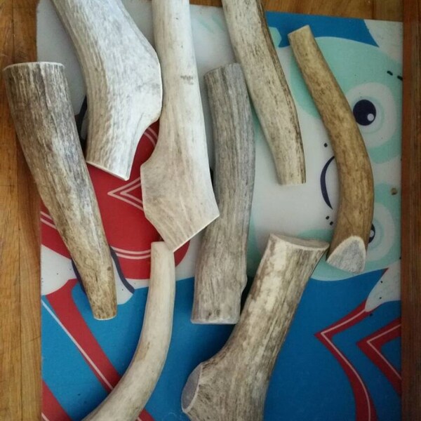 Set #8 Beautiful 3x3 Matched Set Mule Deer Shed Antlers / Mule Elk ...