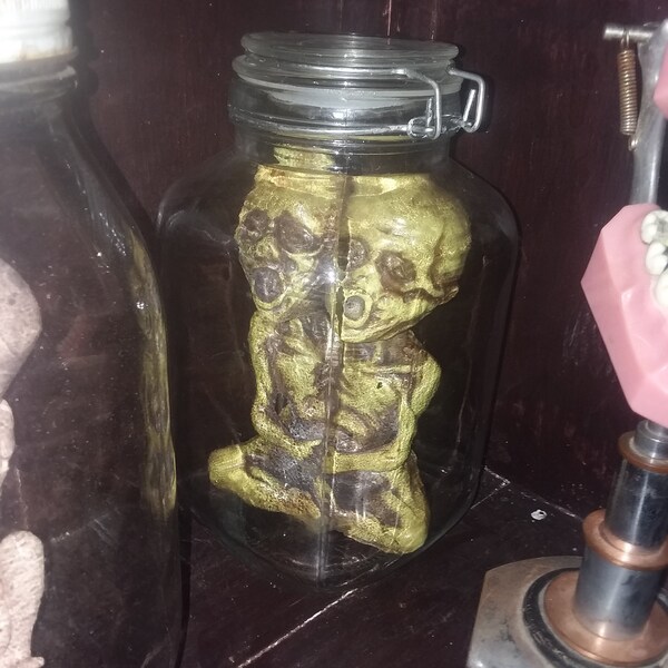 Economy Siamese Twin Fetus Mummy Pigmy Mummified Two Headed Fetal Gaff ...