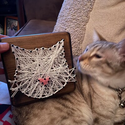 DIY 5x5 Cat String Art Kit - Etsy