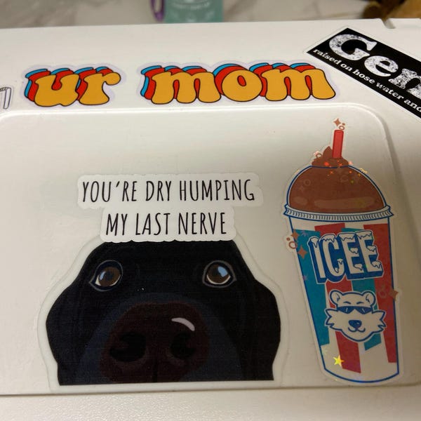 You're Dry Humping My Last Nerve Sticker, Funny Sticker, Laptop Sticker ...