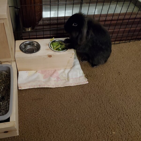 Rabbit Bunny Bowl Feeding Stand - Etsy