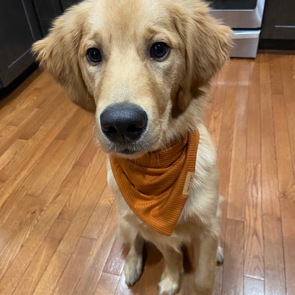 Boho Rust Copper Ribbed Knit Dog Bandana | Tie on | Fall Fashion ...