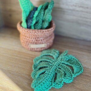 Monstera Leaf Coasters Crochet Pattern Video Tutorial and PDF - Etsy