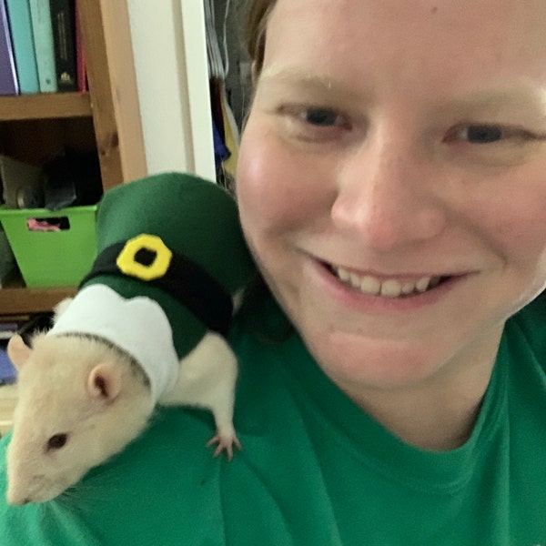 Elf Costume, Pet Costume for Rats, Santa Helper Rat - Available in Red ...