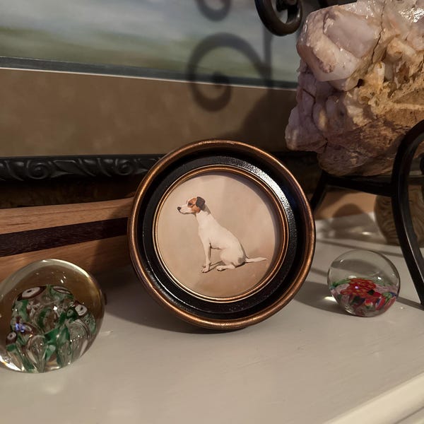 Jack Russell Terrier Portrait Art Print With Vintage Style Round Frame ...