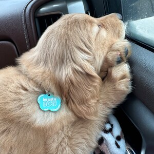 Large Disco Pet Tag, Mirror Disco Personalized Pet Tag the Clifford ...