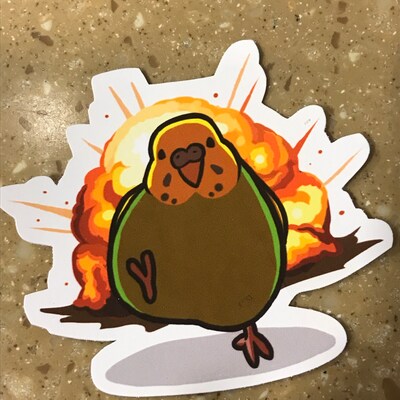 Budgie Meme Stickers - Etsy