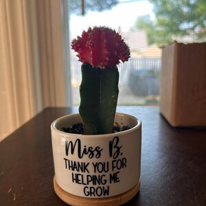 Emotional Support Plant DO NOT PET Funny Planter Emotional Support ...