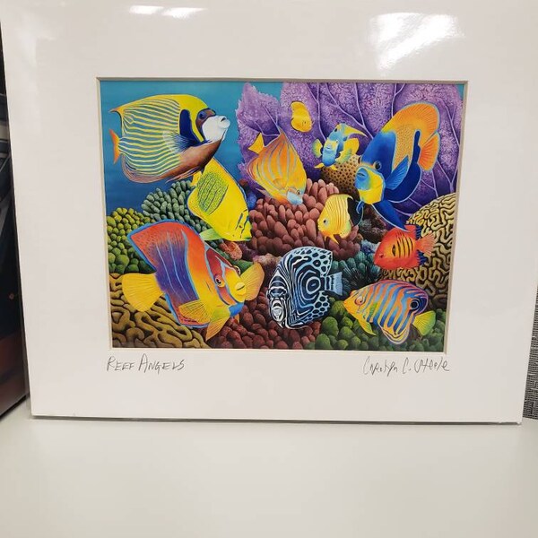 Carolyn Steele Tropical Art Print, Cute Tree Frogs, Colorful Exotic ...