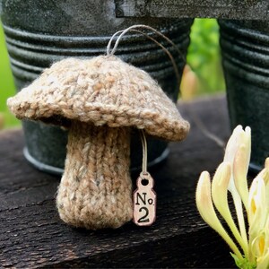 Knitted Mushroom Pattern. Knitting Toys. Amigurumi DIY - Etsy
