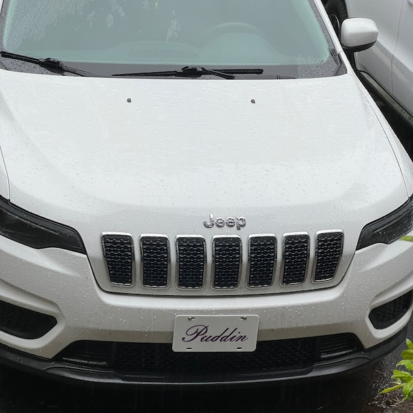 Custom "white" License Plate, Car Tag, Personalized Car Tag, Custom ...