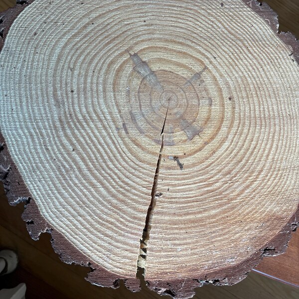 Real Wood Log Vases Wooden Vases for Flowers, Wedding Vases, Rustic ...