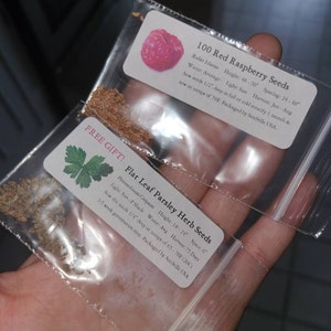 100 RED RASPBERRY Rubus Idaeus Fruit Bush Vine Seeds - Etsy