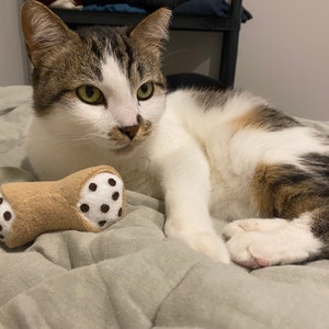 Catnip Cannoli Cat Toy - Etsy