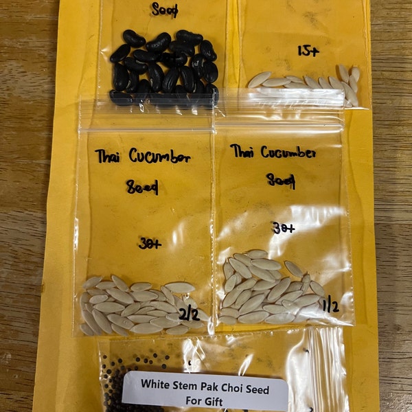 Ground Cherry Giant Poha Berry Seeds ( Physalis Peruviana) - Etsy