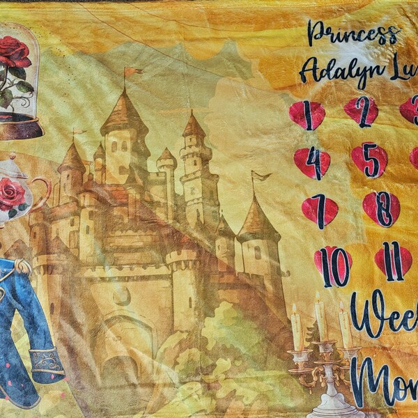 Personalized Baby Baseball Milestone Blanket- Sports Balls Glove- Month ...