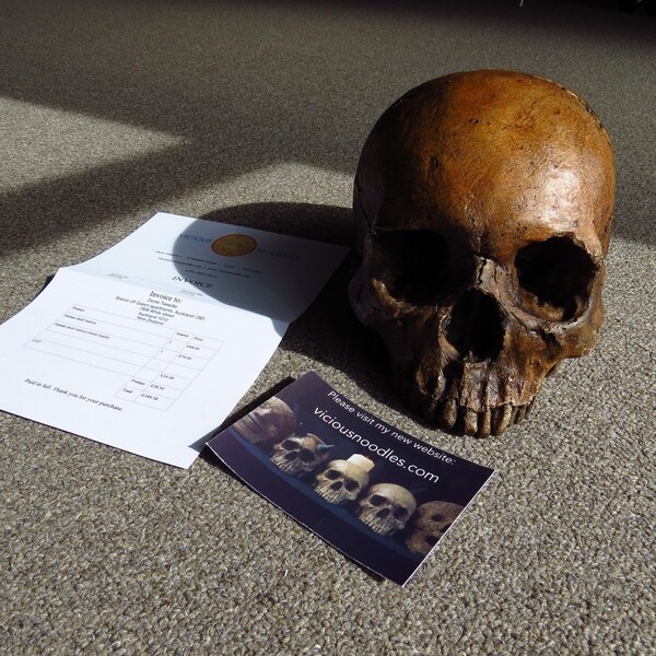 Human Skull Replica, Realistic Full Size Skull Made From Polymerised ...