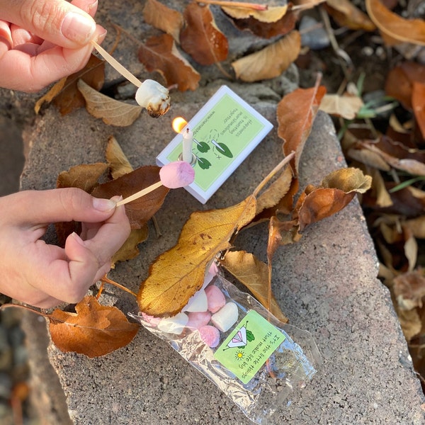 Miniature Marshmallow Kit in A Matchbox, Tiny Toasting Experience With ...