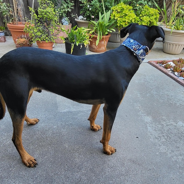 Martingale Collar, Dog Collar, Sighthound Collar, Galgo Collar ...