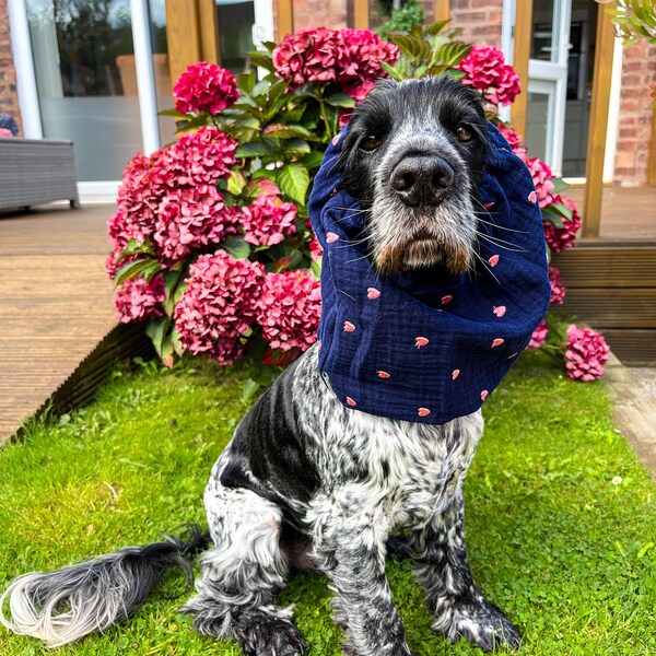 Cotton Dog Snood Handmade Summer Dog Snood Afghan Hound Snood Cocker ...