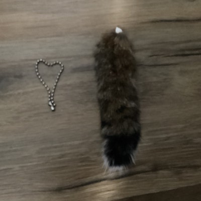 Genuine Bobcat Tail Keychain CHOOSE SIZE - Etsy
