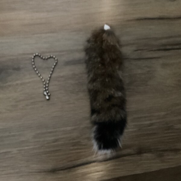 Genuine Bobcat Tail Keychain (CHOOSE SIZE) - Etsy