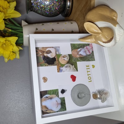 Black Frenchie Cremation Urn - Etsy