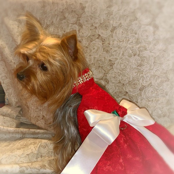 Kati Lou Dog Dress and Dog Blouse Sewing Pattern 1551 Dog Sewing ...