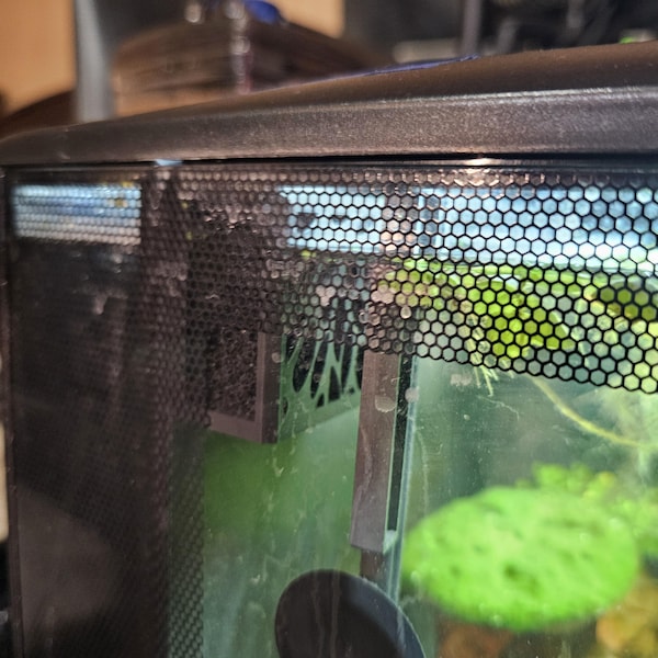 Finnex Stingray Original LED Light Riser, Attractive Stable Elevated ...