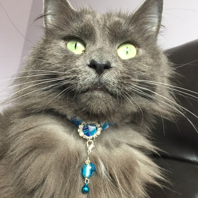 Blue Cat Collar Designer Breakaway Style With Diamante Buckle - Etsy