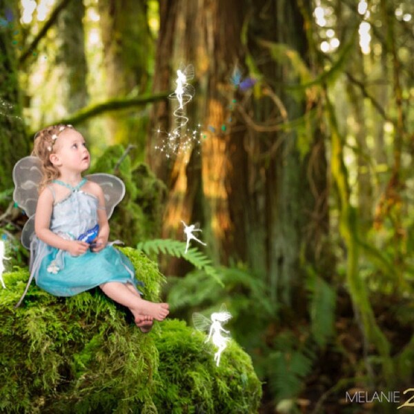 35 Fairy Pixie Photo Overlays, Fairy Dust, Fairy Tail, Fairy Wings ...