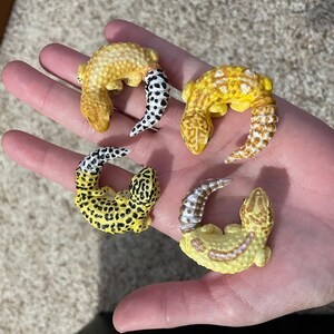 Customizable Ball Python Miniature / Figure / Sculpture / - Etsy