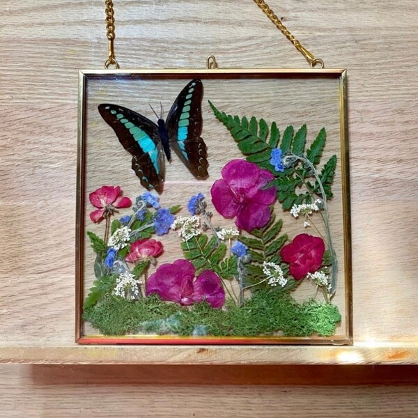 Framed Feathers in an 8"x10" Zinc or Brass Floating Frame, Feathers in ...