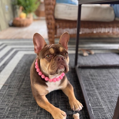 Flamingo Floaty Pool Party Beaded Dog Collar, Collar, Dog Collar, Dog ...