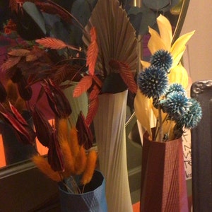 Preserved Lycopodium Bunchdried Princess Pine Grassdried - Etsy