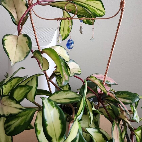 Twisted Copper Spider Web Trellis - Spider Gemstone Plant Trellis- Hoya ...