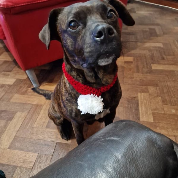 Christmas Dog Scarf With Pompom - Available in 4 Colour Schemes - Santa ...