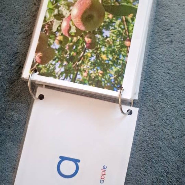 Montessori Writing Paper Bundle, Pink Wide-lined Paper, Blue Thin-lined ...