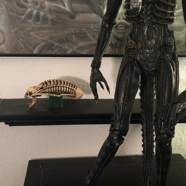 Xenomorph Alien Skull 1/6 Scale - Etsy