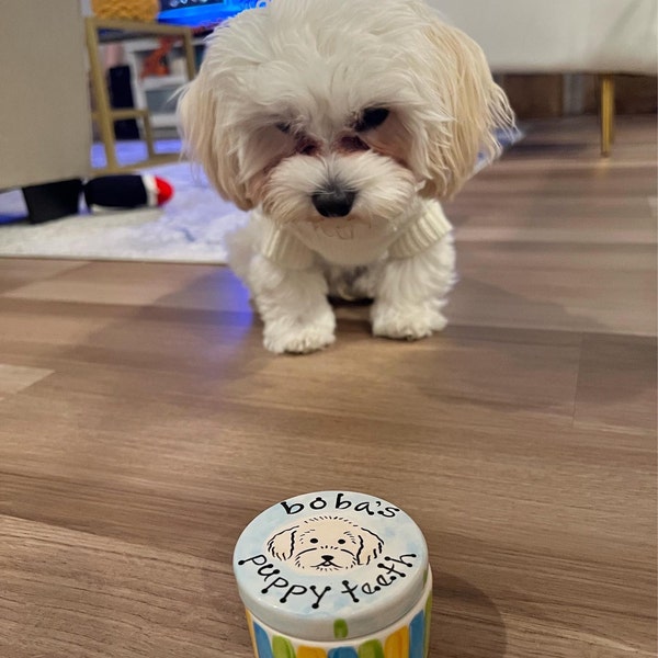 New Puppy Tooth Box / Puppy Teeth Box / Custom Pet Gift / Personalized ...