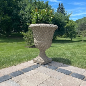 Solid Rock Stoneworks Large Log Stepping Stone - Etsy