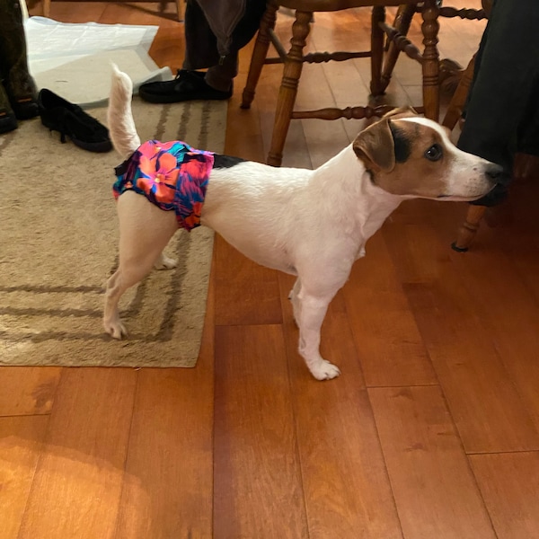 Dog Drying Coat, Grooming Coat, Lycra, Washable, Comfortable, Custom ...