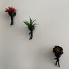 Adventurer Planter Trio | Plant Buddy “trio” | Plant Holder | Unique ...