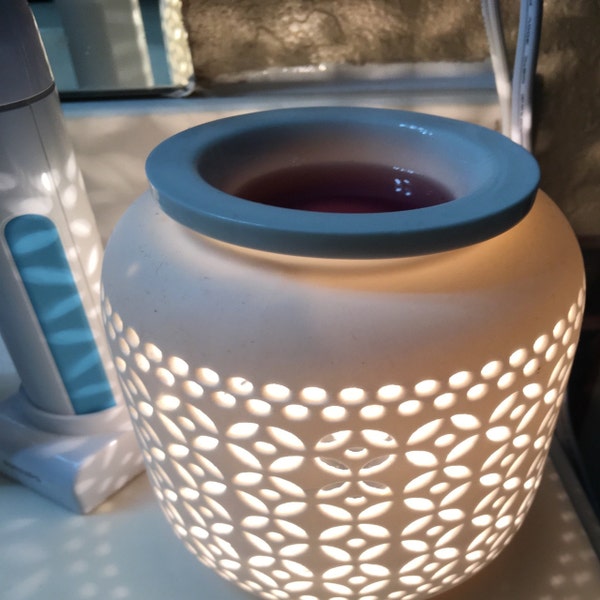 EBM Creations Sun Kissed Plumeria Scented All Natural Soy Wax Melts 6 ...