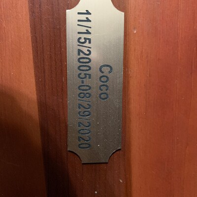 Custom Engraved 1x3 Plate Suite Sign Plaque Pet Name - Etsy