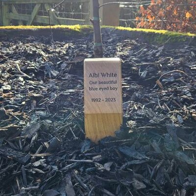 Wooden Memorial Post & Plaque With Engraved Slate Front, for Pets, Tree ...