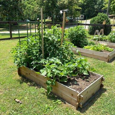 Cedar Raised Garden Bed Kit 3 Tier Pyramid 1x3 2x3 3x3 Beginners Garden ...